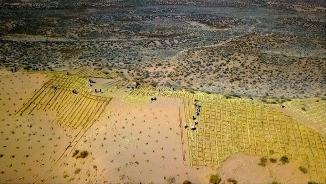 “Photovoltaic + Desert Control” Fortifies the Ecological Defense Line ...