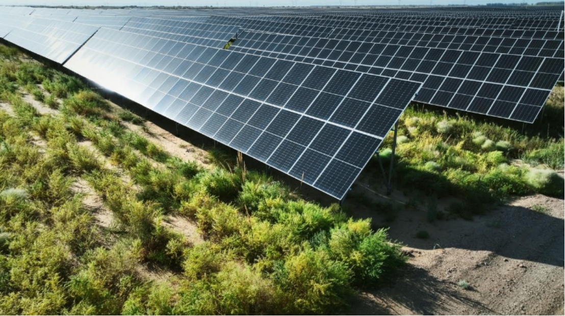 “Photovoltaic + Desert Control” Fortifies the Ecological Defense Line ...